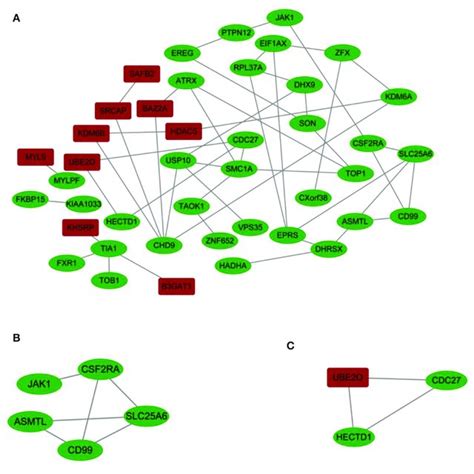 A Cytoscape Network Visualization Of The 42 Nodes And 49 Edges That