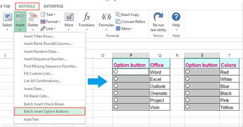 excel vba rename option button microsoft access 2010