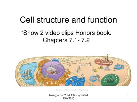 Ppt Cell Structure And Function Powerpoint Presentation Free Download 3d4