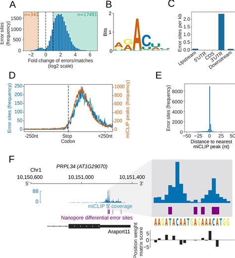Nanopore Direct Rna Sequencing Maps The Complexity Of Arabidopsis Mrna
