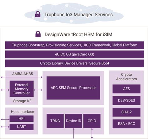 synopsys troot hsm for isim block diagram