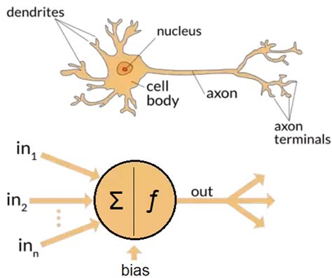 Classification Of Neural Network In Tensorflow Javatpoint