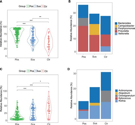Frontiers Metatranscriptomic Analysis Revealed Prevotella As A