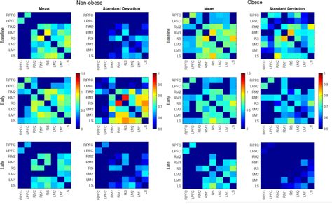 Frontiers Functional Connectivity During Handgrip Motor Fatigue In