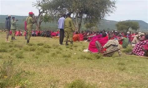 Tanzania End The Crackdown On The Maasai Standing Up Against Forced