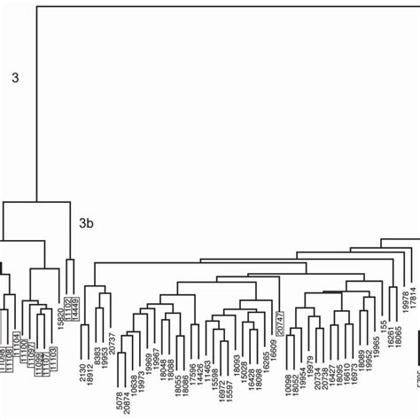 Dendrogram Illustrating Results Of Group Average Agglomerative