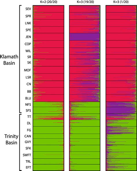 Results From Bayesian Cluster Analysis Based Upon Eight Microsatellite