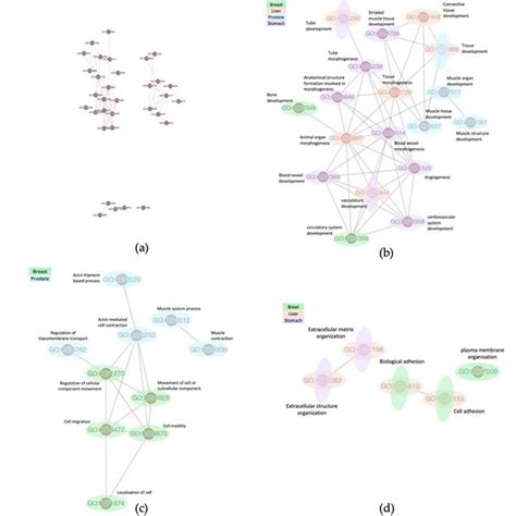 Functional Similarity Of Go Terms Associated With Mrnas Of Positive