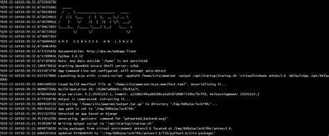 python azure web app deployed to tmp folder instead of root