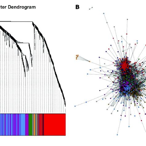 Wgcna Of The Healthy Control Csf Proteome A Cluster Dendrogram