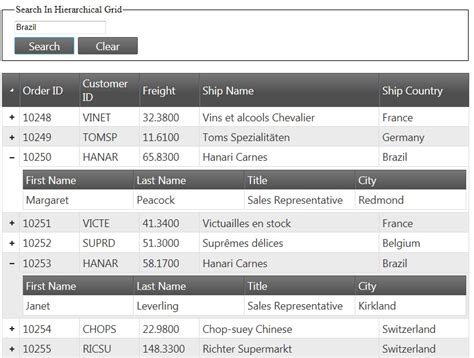 searching in infragistics jquery hierarchical grid infragistics blog