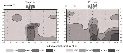 Forests Free Full Text Spatiotemporal Dynamics Of Forest Vegetation