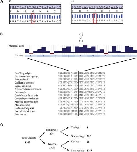 2 7 Mb Mcph4 Locus Sequencing Using 454 Roche Gs Flx A Sanger