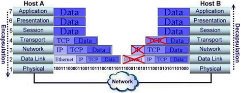network layer computer networking 1