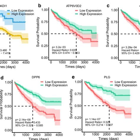 identifying the independent prognostic parameters and construction of