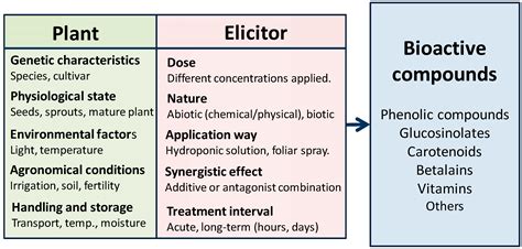Molecules Free Full Text Elicitation A Tool For Enriching The
