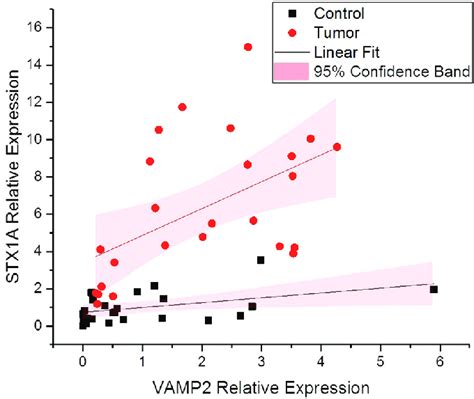 Correlation Analysis Between Expression Levels Of The Synaptobrevin2