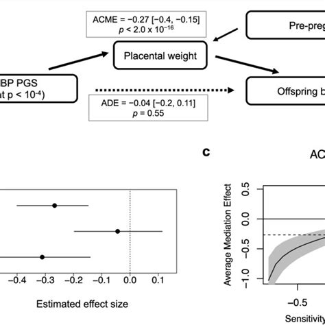 Causal Mediation Analysis A B Mediation Model Of The Relationship