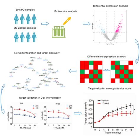 Proteomics Profiling Reveals The Molecular Signatures And Potential