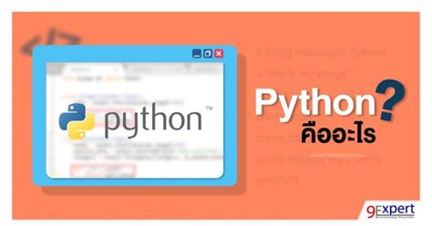 หลักสูตร python programming 9expert training