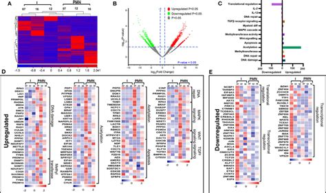 Comparative Analyses Of Gene Expression Between Pmn Mdscs And I Mdscs