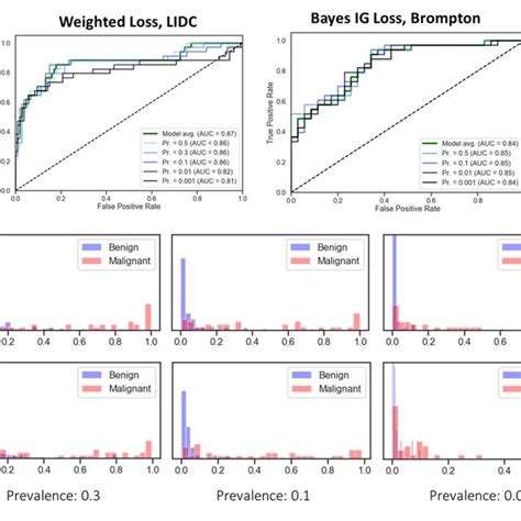 Comparative View Of The Bayesian Bias Corrected Loss Bayes Ig And The