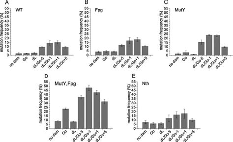 Mutation Frequency Of 8 Oxodguo Go And Dl In E Coli When Present As