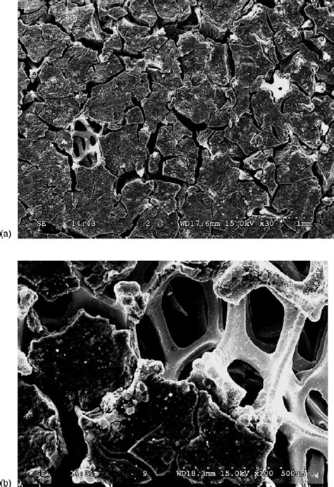 Scanning Electron Micrographs Of Porous Carbon Electrode A 30 Â