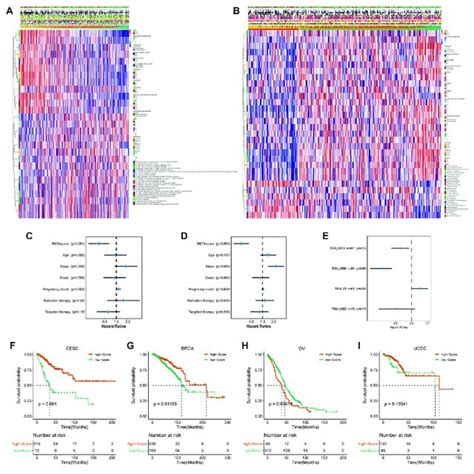 Construction Of Metascore And Functional Annotation A Pathway