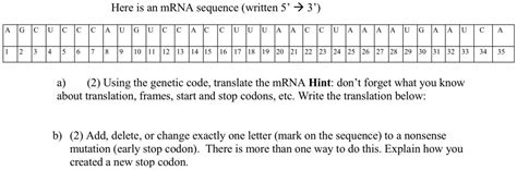 Solved Here Is An Mrna Sequence Written 5 7 3 2 Using The Genetic