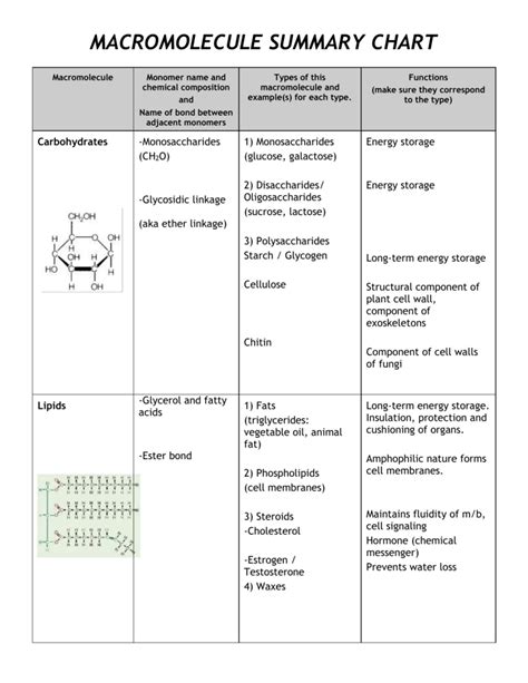 Macromolecules Structure And Function Chart