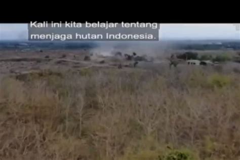 Tindakan Untuk Menjaga Hutan Dan Kerusakan Lingkungan Adalah 2021