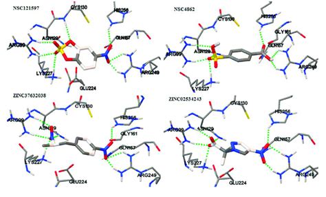 Best Binding Pose And H Bonding Interactions Of Screen Molecules