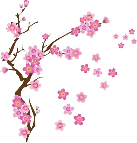 さくら 桜 のイラスト・画像no 058『さくらの花と枝』／無料のフリー素材集【百花繚乱】