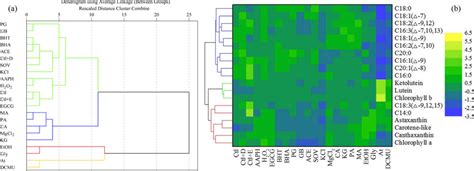 Schematic Dendrograms Of Agglomerative Hierarchical Cluster Analysis