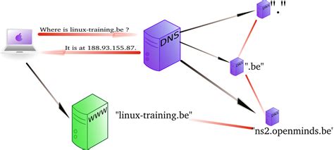 chapter 10 introduction to dns