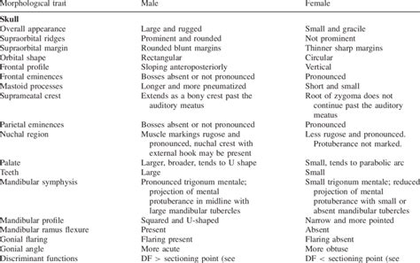 Morphological Sex Differences In The Skull And Bony Pelvis A