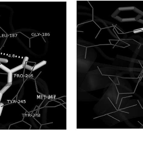 A Docked Pose For Compound 15 Showing H Bond Interactions In The