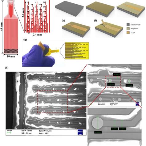 Microelectrode Array Mea For Recording Ecog Signals A Schematic Of