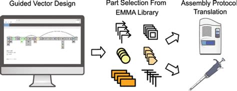 Emma Cad Design Automation For Synthetic Mammalian Constructs Acs