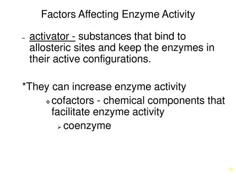 Proteins As Enzymes Ppt Download