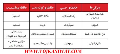 تقویت حافظه برای درس خواندن آموزش روشهای مطالعه، تندخوانی و تمرکز