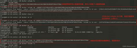 docker入门教程 docker load csdn博客