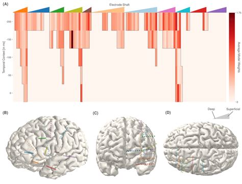 A Spatio Temporal Decoder Activations Averaged Across 9 Classes And