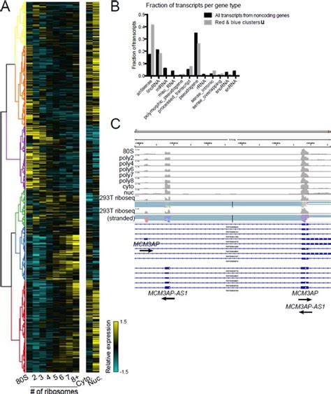Figures And Data In Tunable Protein Synthesis By Transcript Isoforms In
