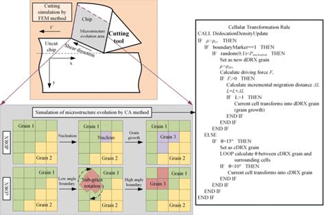 Procedure Of Ca Simulation For Microstructure Evolution Download
