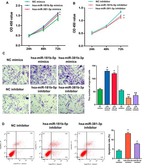 Frontiers Identification And Validation Of Mirna Tf Mrna Regulatory