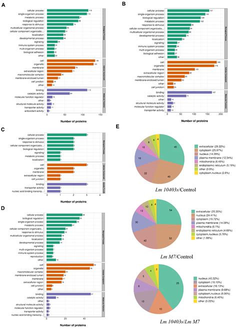 Ijms Free Full Text Tmt Based Quantitative Proteomic Analysis Of