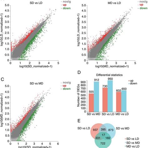 The Graphical Representation Of Differentially Expressed Genes Degs