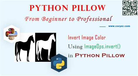 python pillow invert image color using vert cocyer